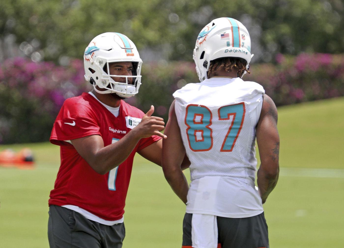 Omar Kelly: Dolphins veterans need to create a healthy, selfless ...
