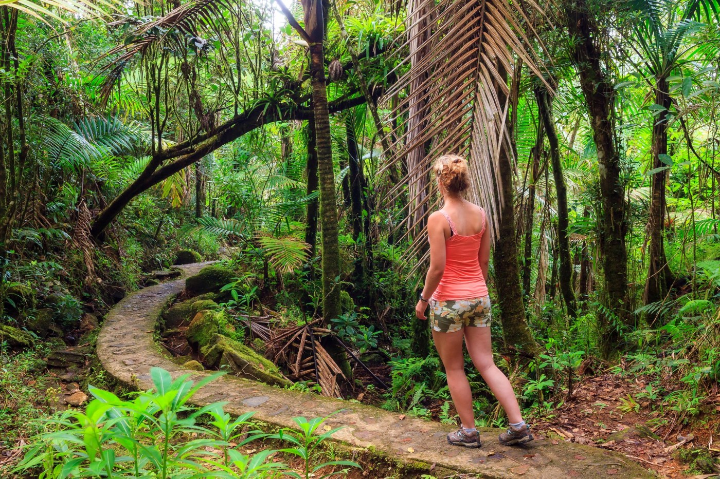 The best places in the Caribbean for nature lovers - HaaS Unlimited